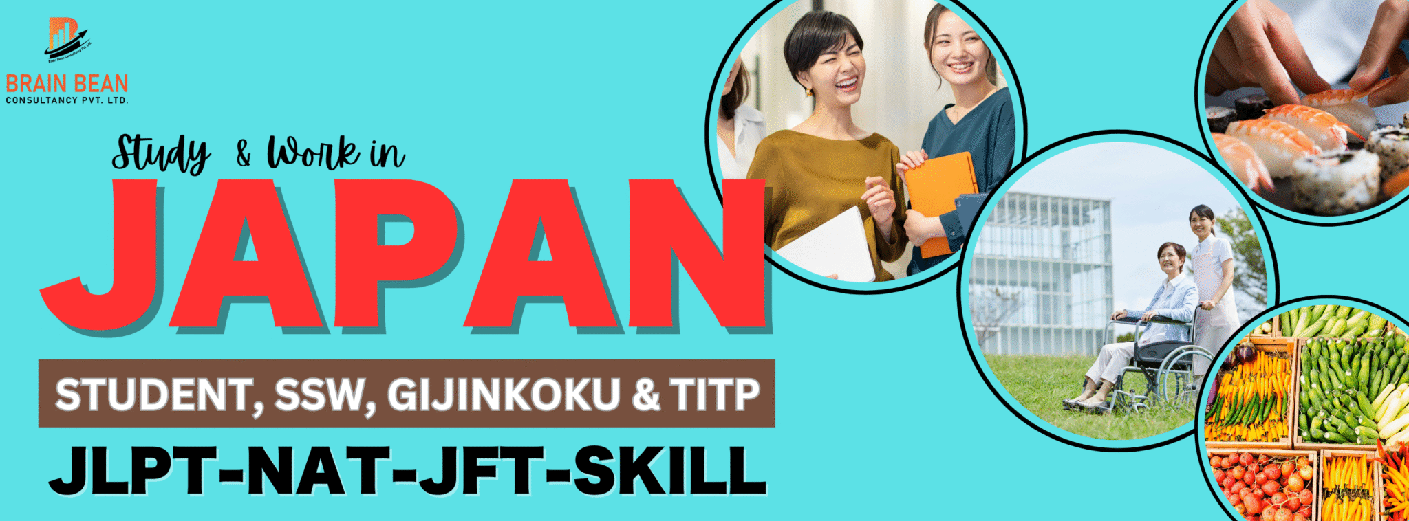 SSW Visa Japan - Brain Bean Education Consultancy